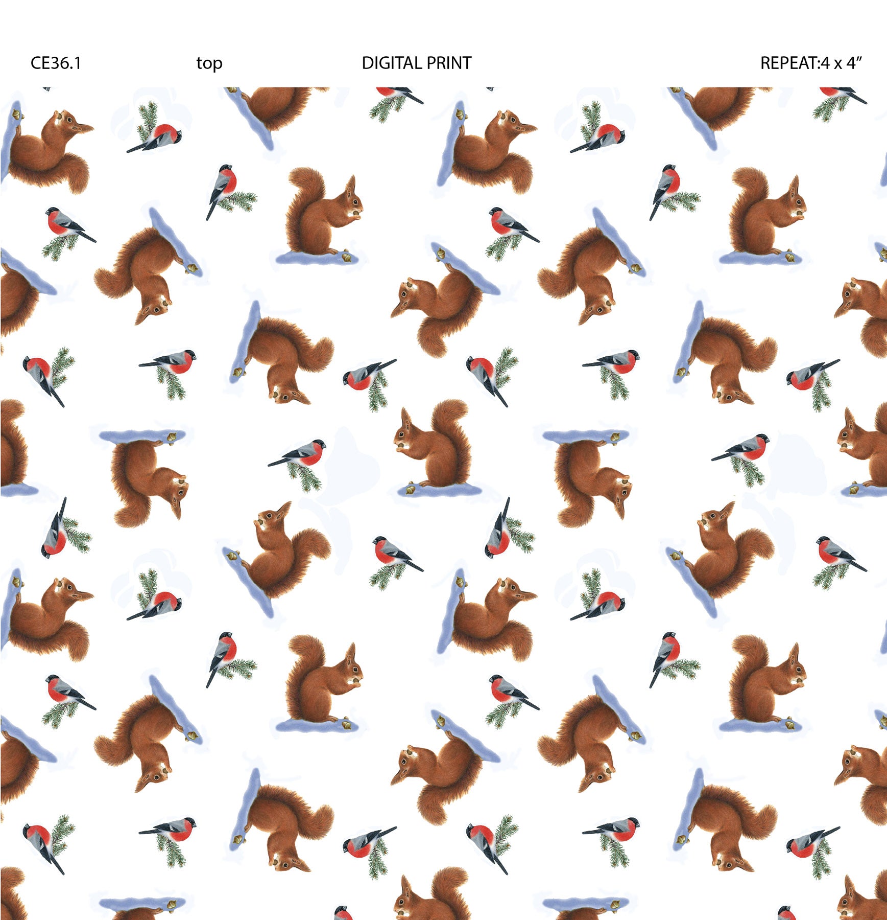 Tomtens Forest Friends | Squirrels on White by Eva Melhuish for Lewis