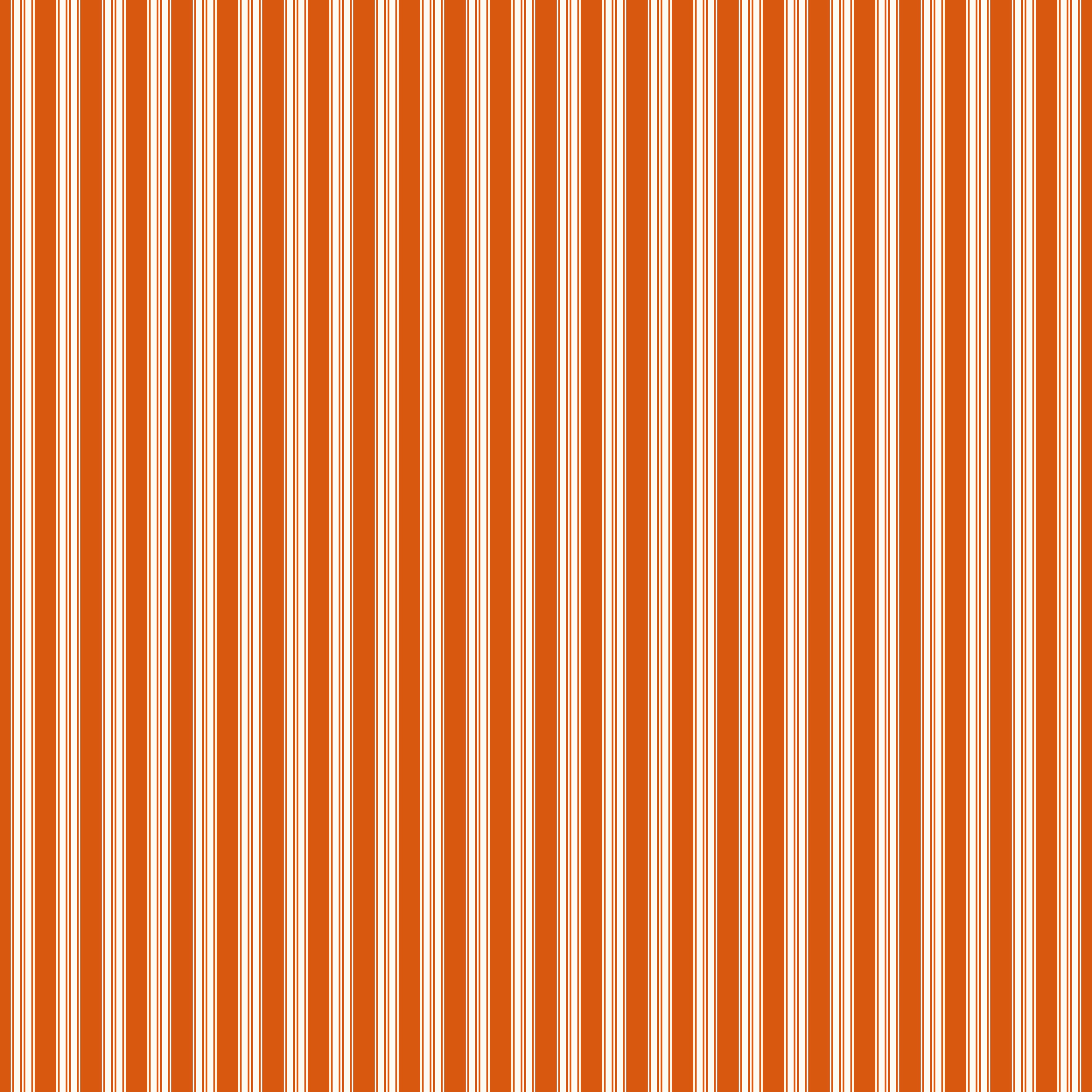 Sophisticated Halloween | Ticking Orange by My Mind's Eye for Riley Bl