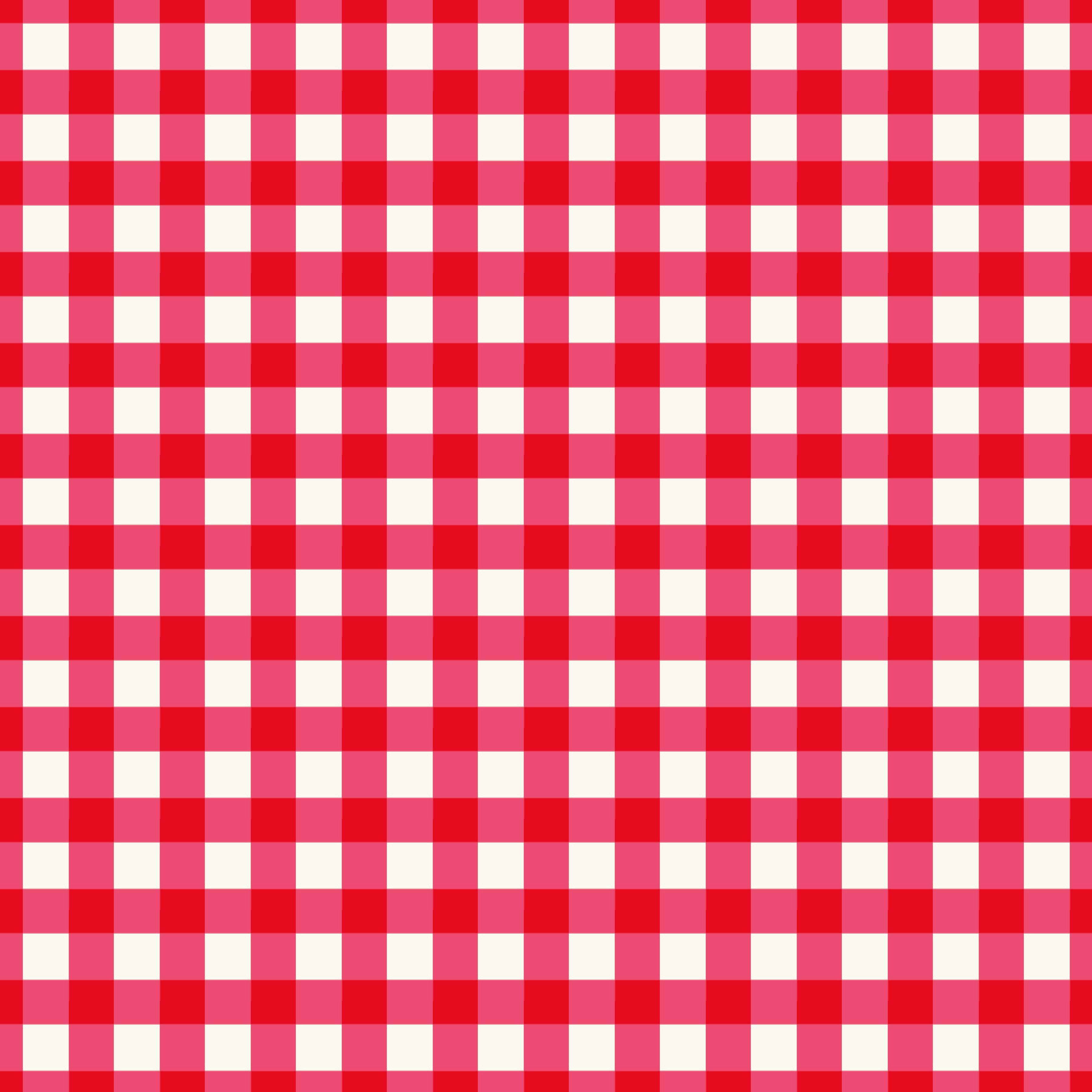 Picnic Florals | Gingham Red 108" Wide Backing by My Mind's Eye for Ri